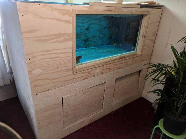 Plywood aquarium build | MonsterFishKeepers.com