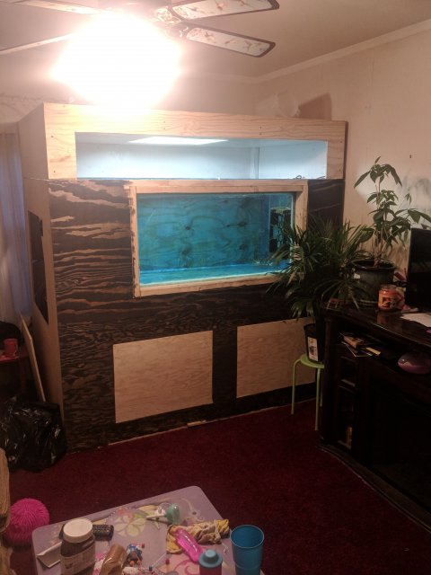 Plywood aquarium build | MonsterFishKeepers.com
