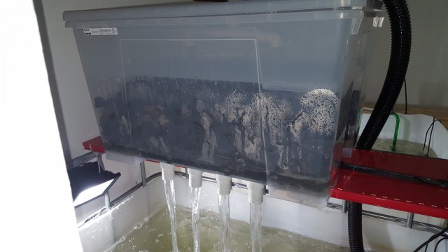 Overhead Filter | MonsterFishKeepers.com