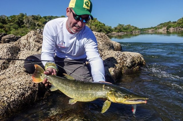 WTB | Bicuda Boulengerella cuvieri | $100 | Los Angeles | Pickup ...