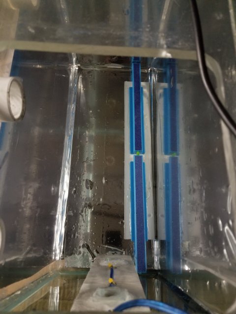 DIY air diffuser? | MonsterFishKeepers.com