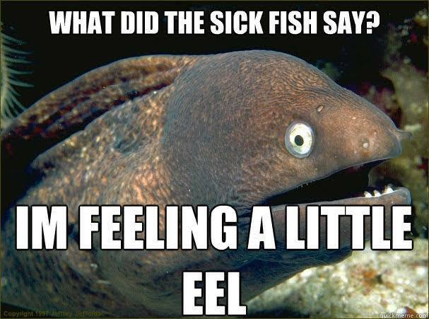 Fish memes! | MonsterFishKeepers.com