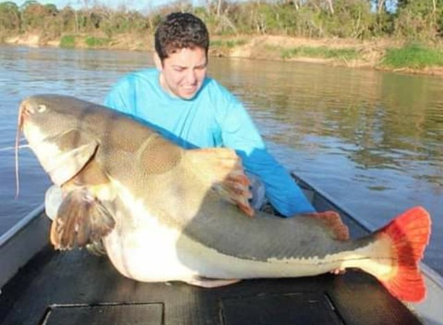 Biggest rtc I’ve seen. | MonsterFishKeepers.com