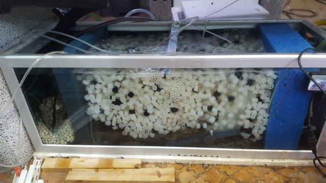 Re-configuring My Sumps with Poret Foam | MonsterFishKeepers.com