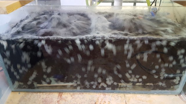 Re-configuring My Sumps with Poret Foam | MonsterFishKeepers.com