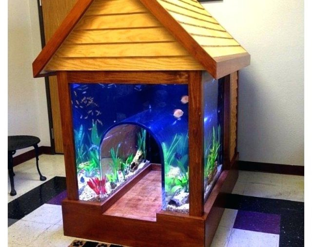Weird Fish Tanks