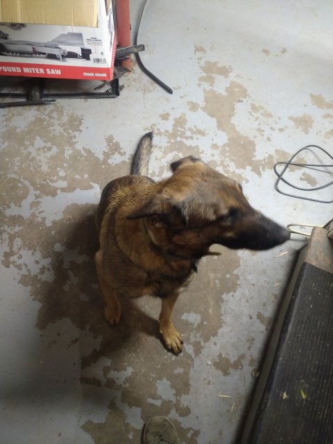 Custom 4x8 FT Tank! | MonsterFishKeepers.com