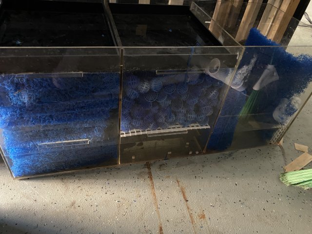 For Sale - Wet dry sump | MonsterFishKeepers.com