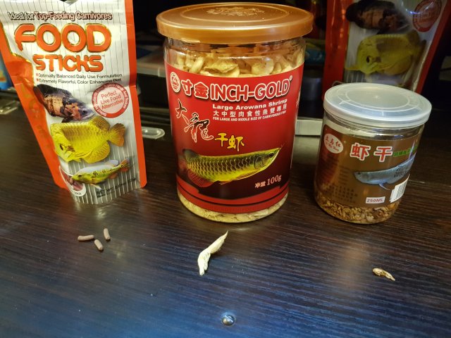 BEST FOOD FOR AROWANA !!! | MonsterFishKeepers.com