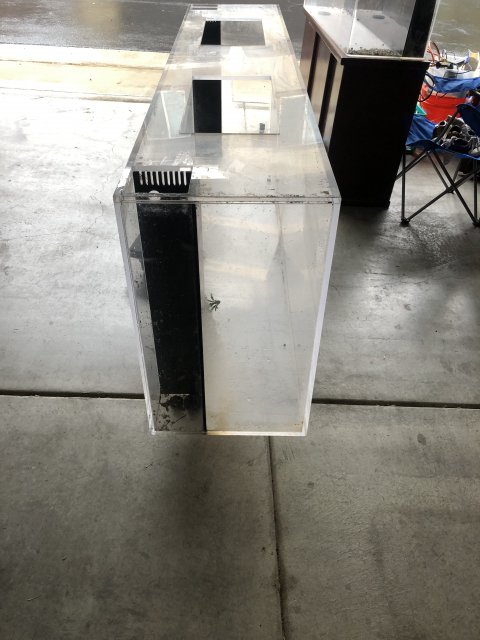 For Sale - 200g acrylic tank | MonsterFishKeepers.com