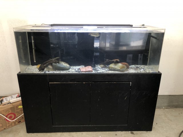 For Sale - 100g acrylic fish tank | MonsterFishKeepers.com