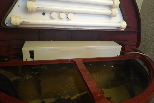 For Sale - Jebo R790 Curved Glass Aquarium-Cherry $100 ...