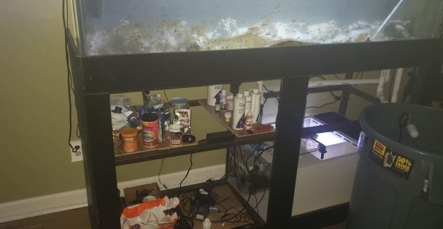 For Sale - 250 gallon aquarium | MonsterFishKeepers.com