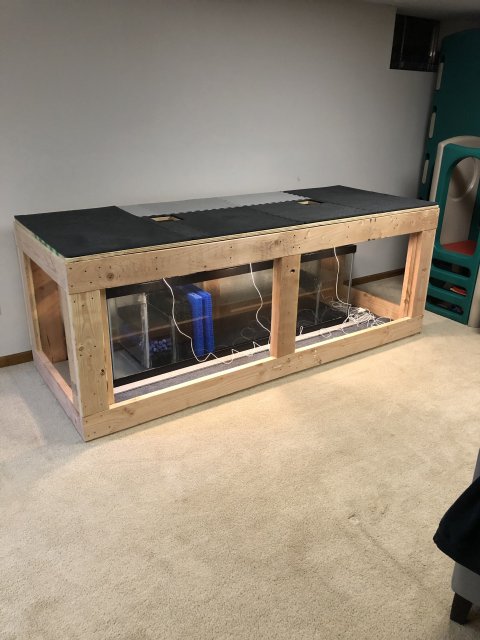 DIY stands | MonsterFishKeepers.com