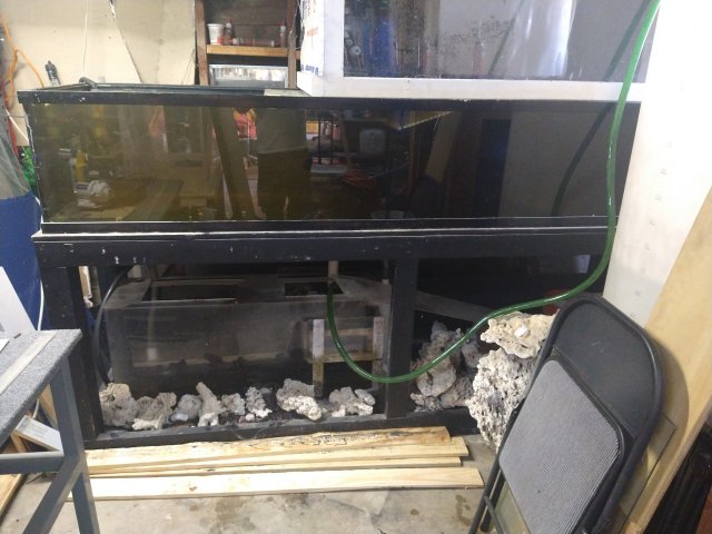 For Sale - 175 gallon fish tank | MonsterFishKeepers.com