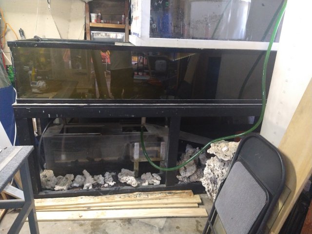 For Sale - 175 gallon fish tank | MonsterFishKeepers.com