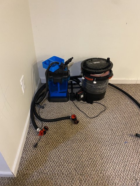 For Sale - FX6 filter | MonsterFishKeepers.com