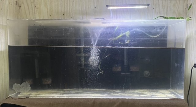 For Sale - 30 gallon acrylic tank | MonsterFishKeepers.com