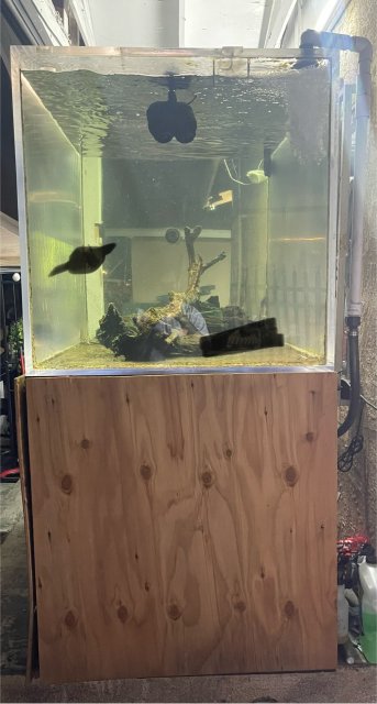 For Sale - 300 gallon acrylic aquarium | MonsterFishKeepers.com