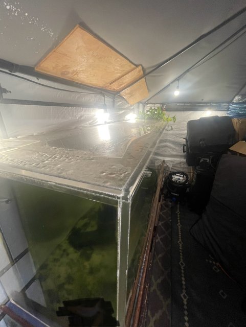 For Sale - 250 gallon acrylic aquarium | MonsterFishKeepers.com