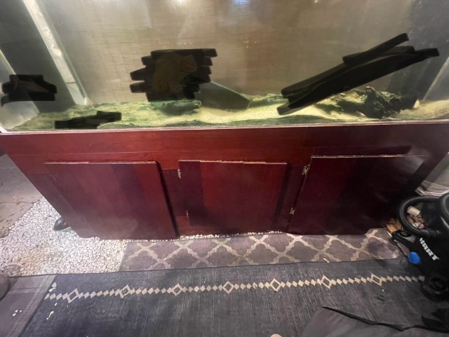 For Sale - 250 gallon acrylic aquarium | MonsterFishKeepers.com