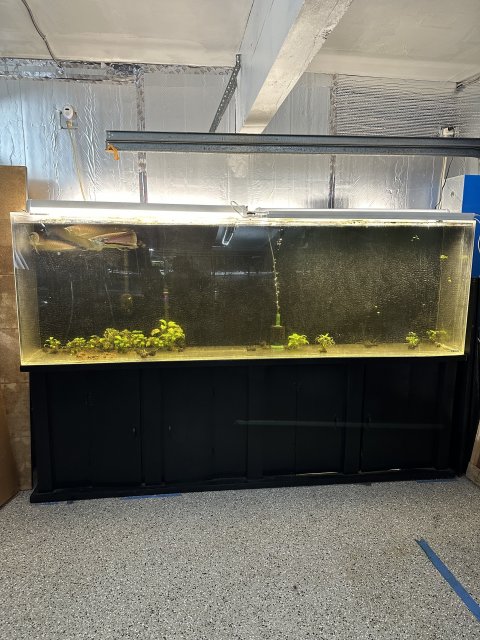 For Sale - 240 gallon acrylic aquarium | MonsterFishKeepers.com