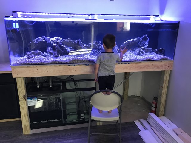 For Sale - 360 gallon tank and 90 gallon custom wet dry ...