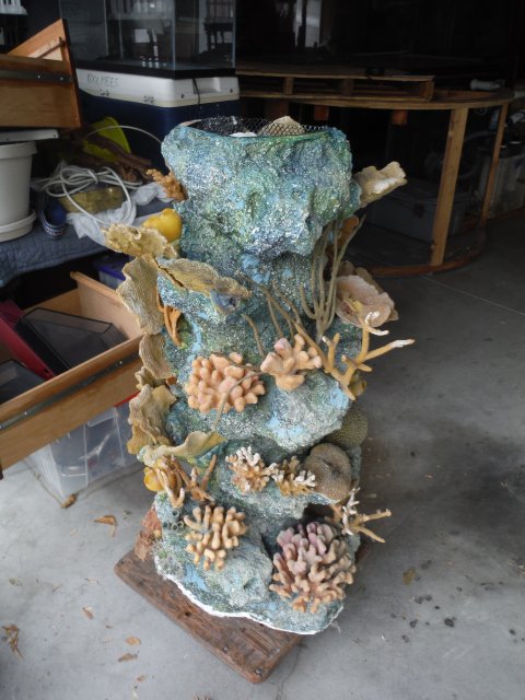 For Sale | 2000 Gallon Aquarium Setup | $25k | Socal | Pickup Only ...