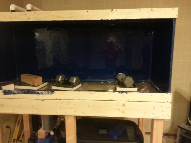 6' x 3' x 2' Plywood Aquarium Build w/pictures | MonsterFishKeepers.com