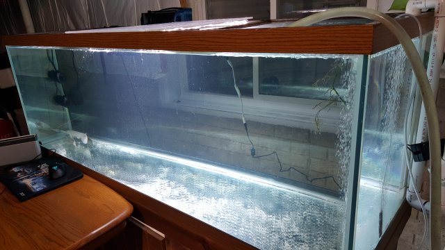 DIY led light | MonsterFishKeepers.com