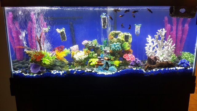 DIY Avatar floating rocks! | MonsterFishKeepers.com