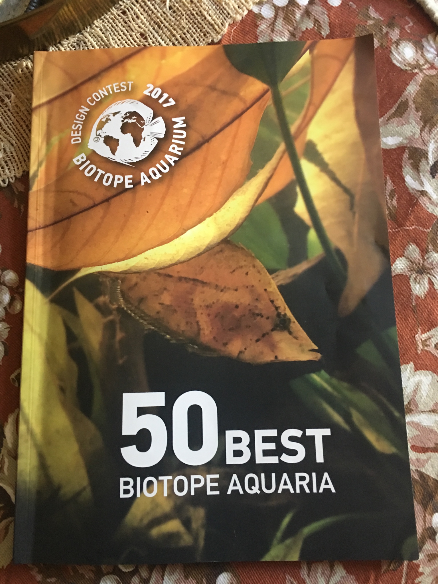 2017 Biotope Aquarium Design Contest Catalogue (Photo Heavy ...