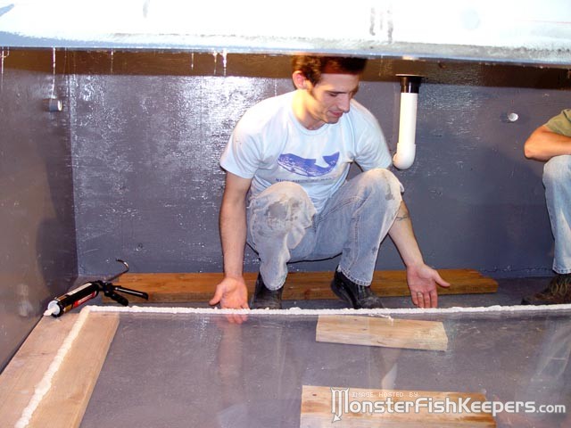 TODD BUILDS HIS 2500 GALLON CEMENT AQUARIUM FOR STINGRAYS IN THE ...